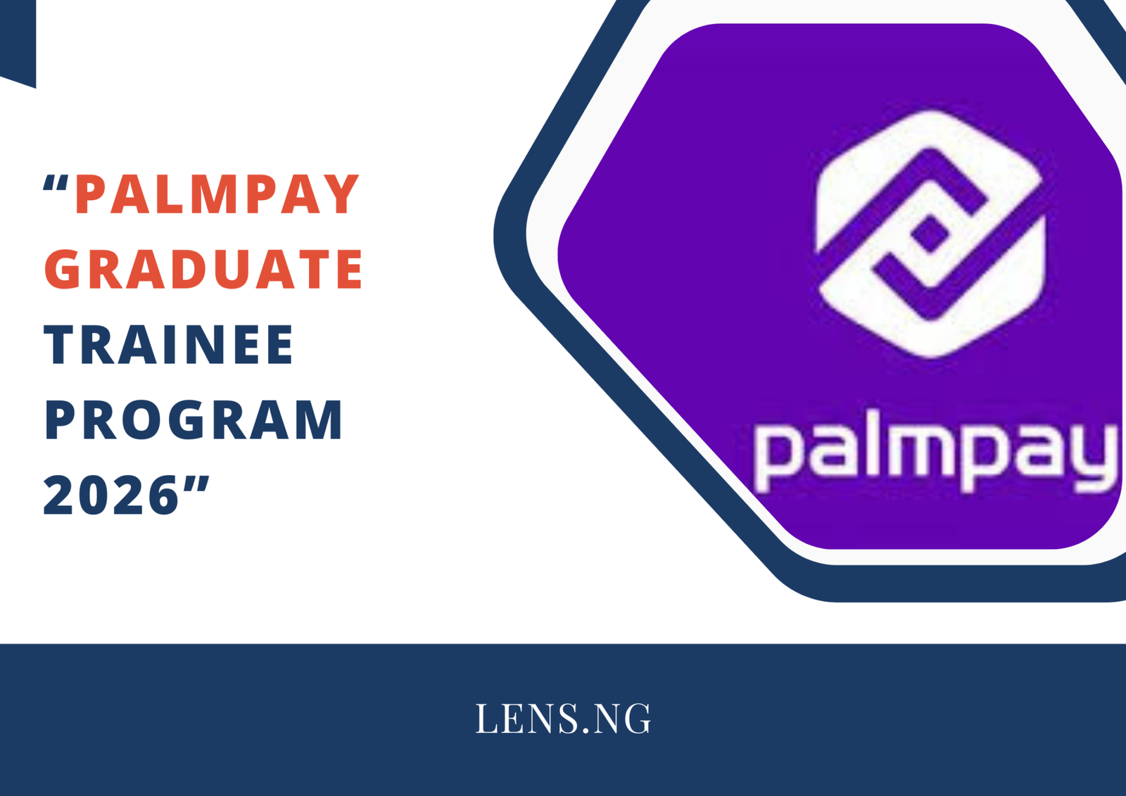 Apply for the PalmPay Graduate Trainee Program 2026 Today - Lens News